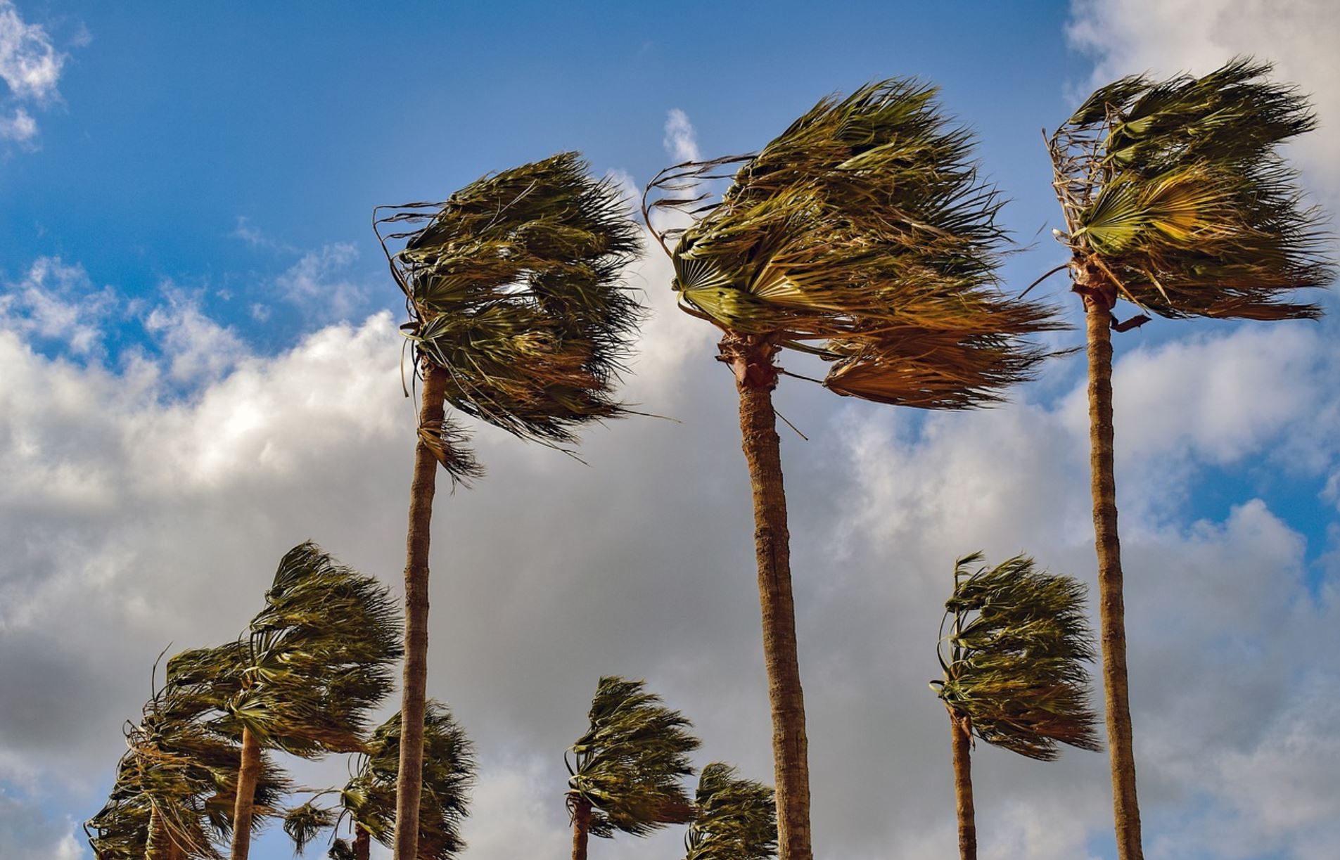 Forte vento e mare molto mosso: allerta meteo per giovedì
