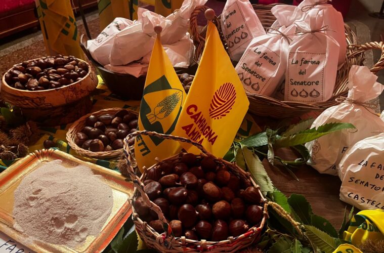 Tre nuove castagne picene e la Farina del Senatore, Coldiretti Ascoli ...